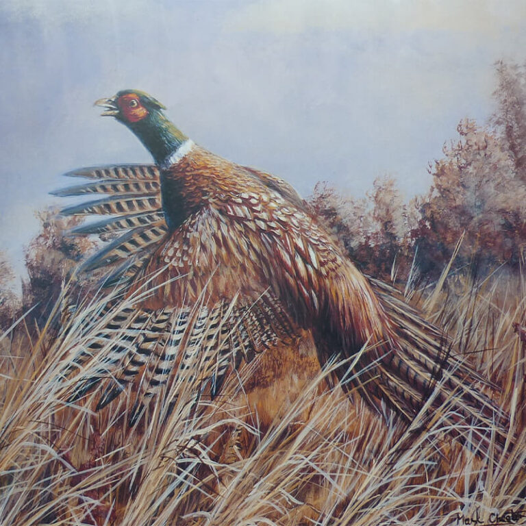 Limited Edition Wildlife Fine Art Prints | Strix Editions